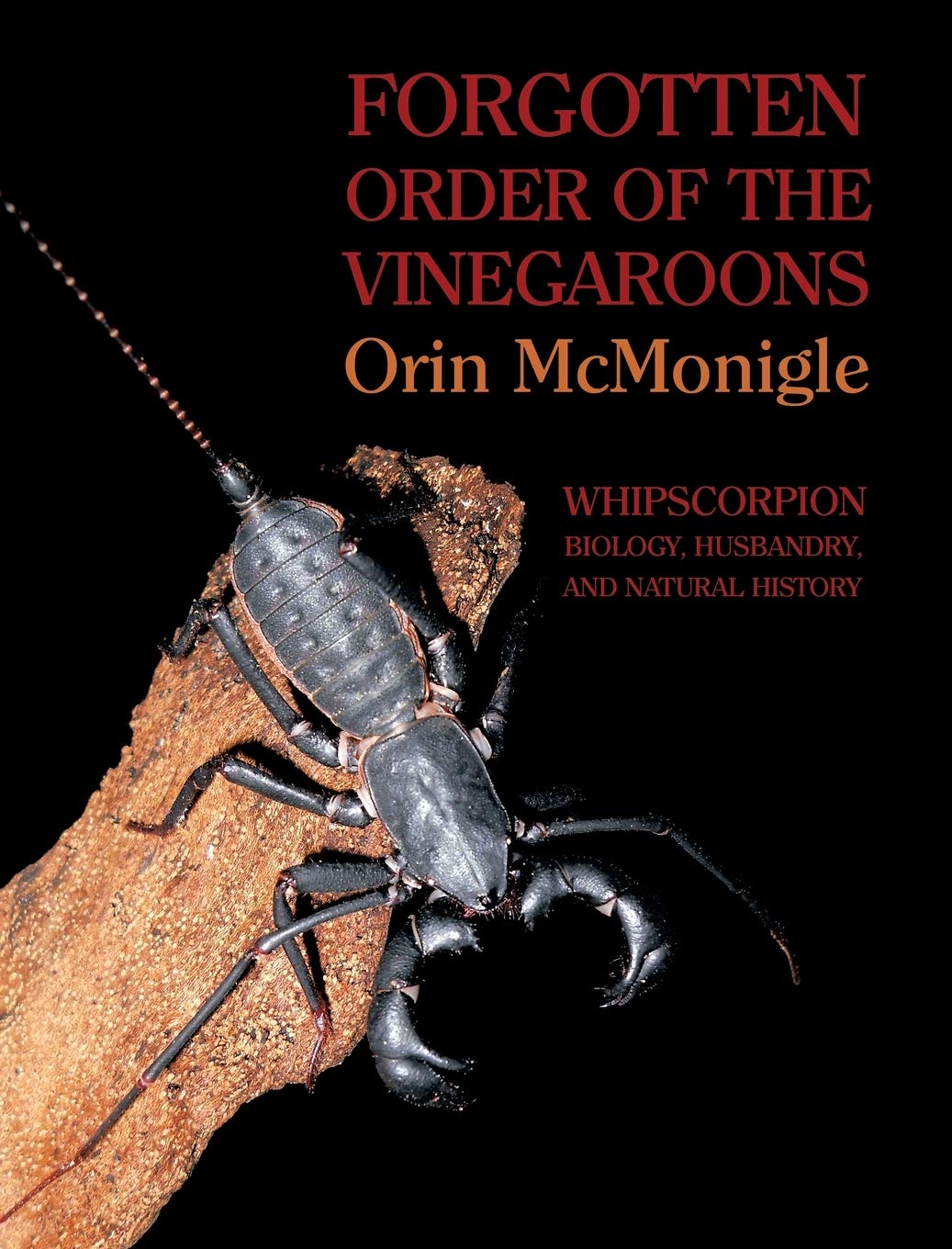 Forgotten Order of Vinegaroons – The Defiant Forest